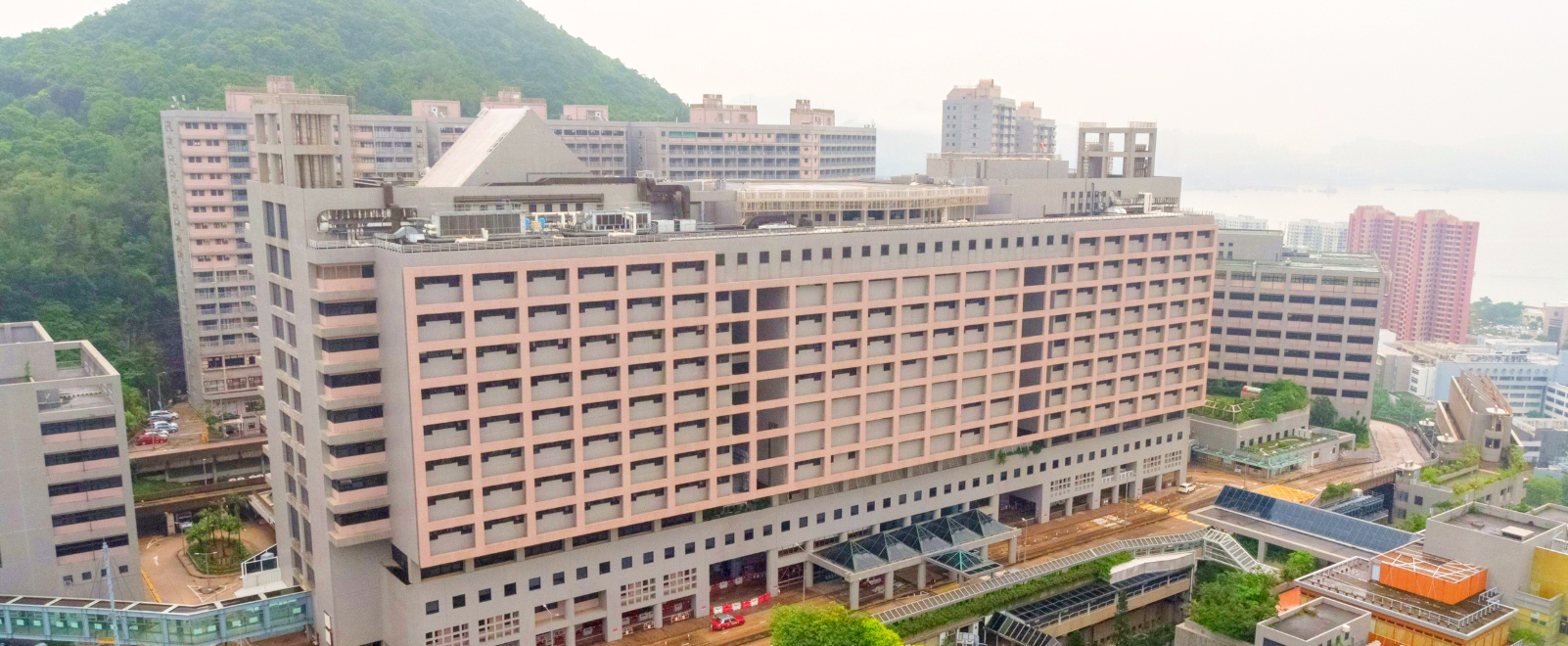 The D. H. Chen Foundation